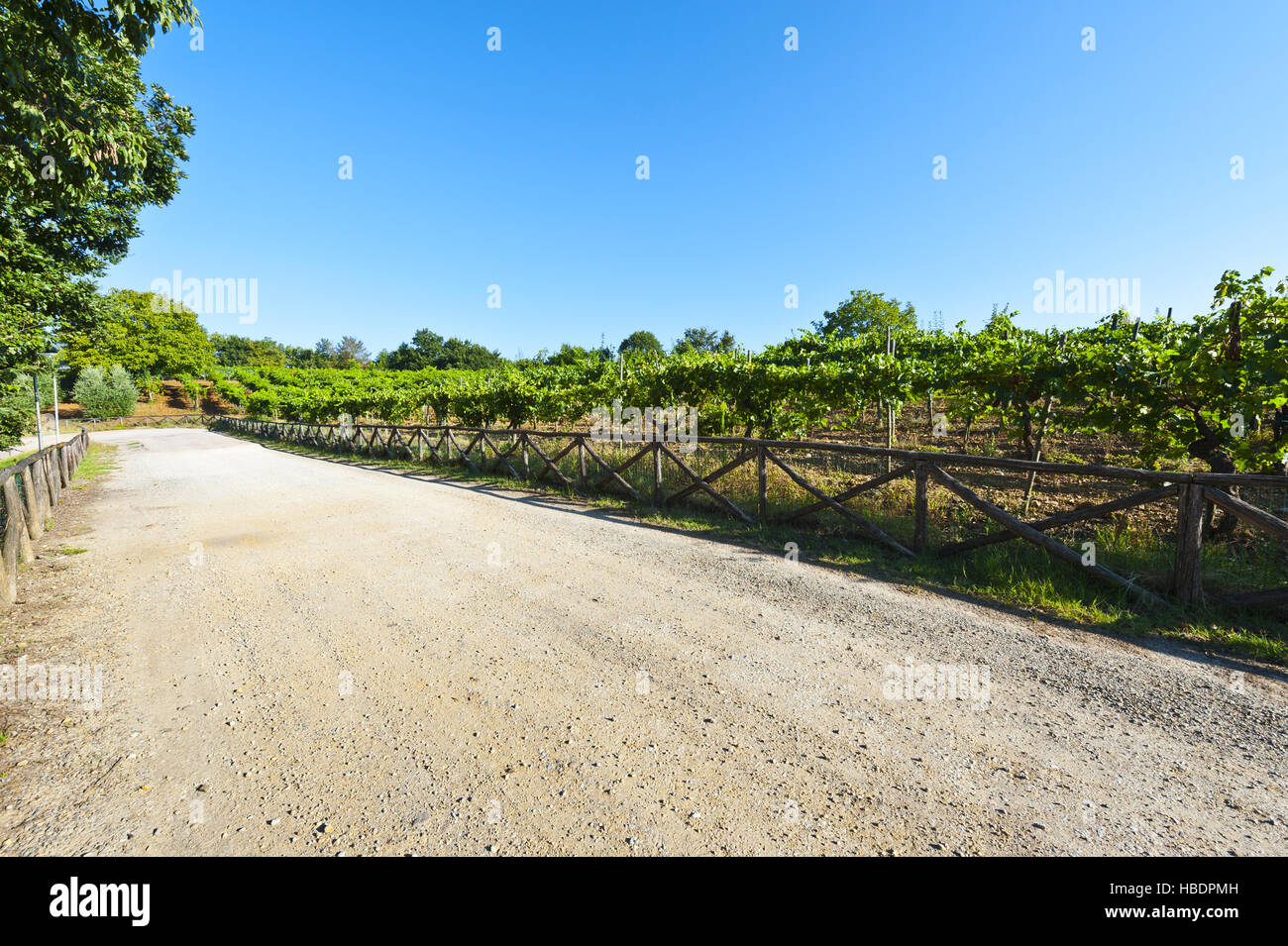 Road between Vineyards Stock Photo - Alamy