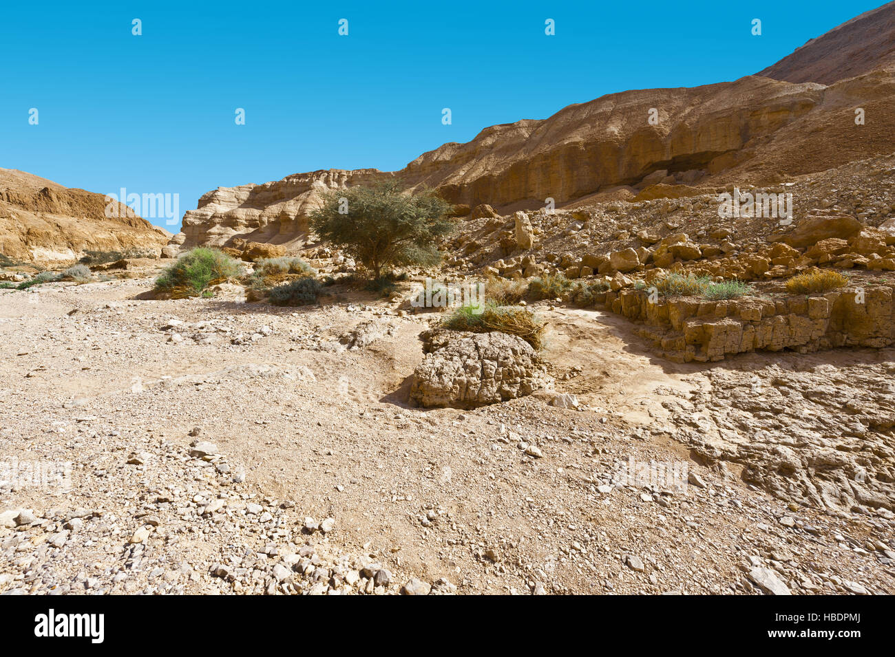 Desert in Israel Stock Photo - Alamy