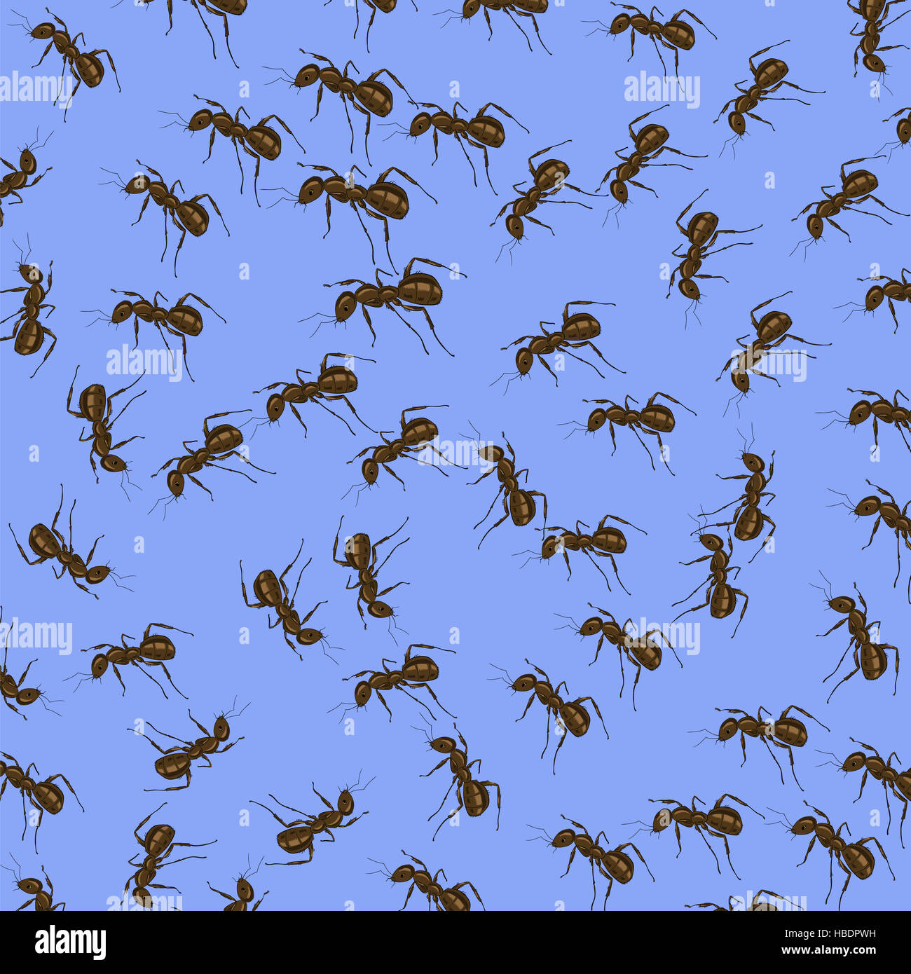 Ant colony illustration hi-res stock photography and images - Alamy