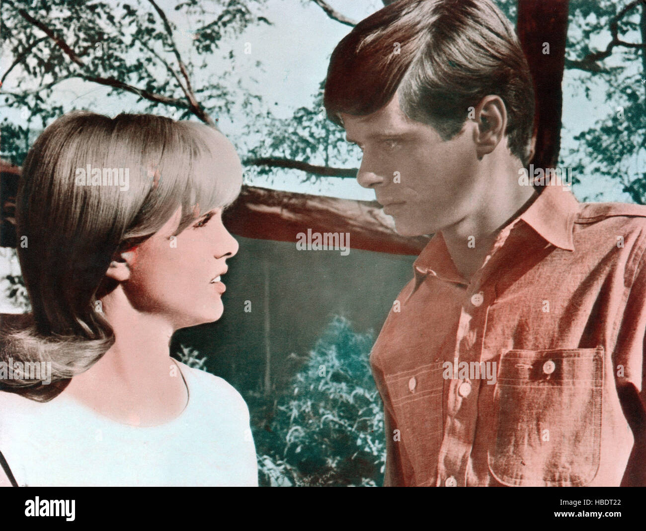 THE FLIM-FLAM MAN, from left: Sue Lyon, Michael Sarrazin, 1967, TM ...