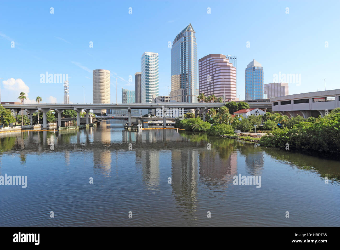 Partial Tampa, Florida skyline with USF Park and commercial buildings ...