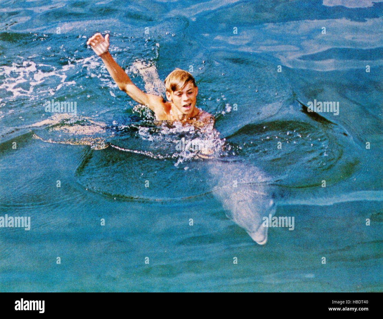 FLIPPER, Luke Halpin, 1963 Stock Photo - Alamy