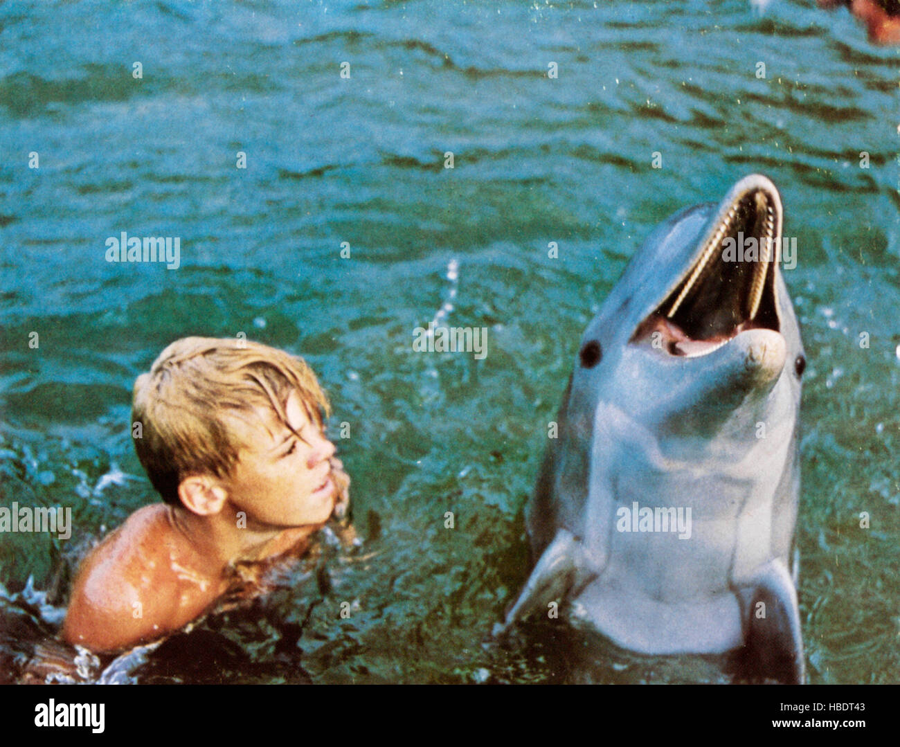 FLIPPER, Luke Halpin, 1963 Stock Photo - Alamy