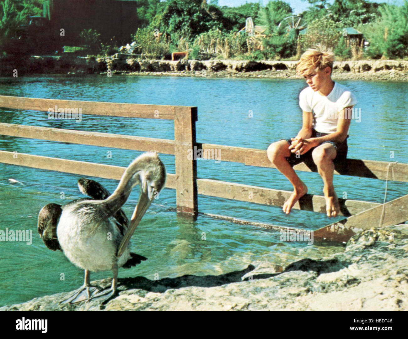 FLIPPER, Luke Halpin, 1963 Stock Photo - Alamy