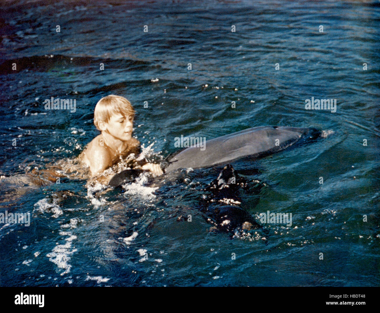 FLIPPER, (from left): Luke Halpin, Flipper, 1963 Stock Photo - Alamy