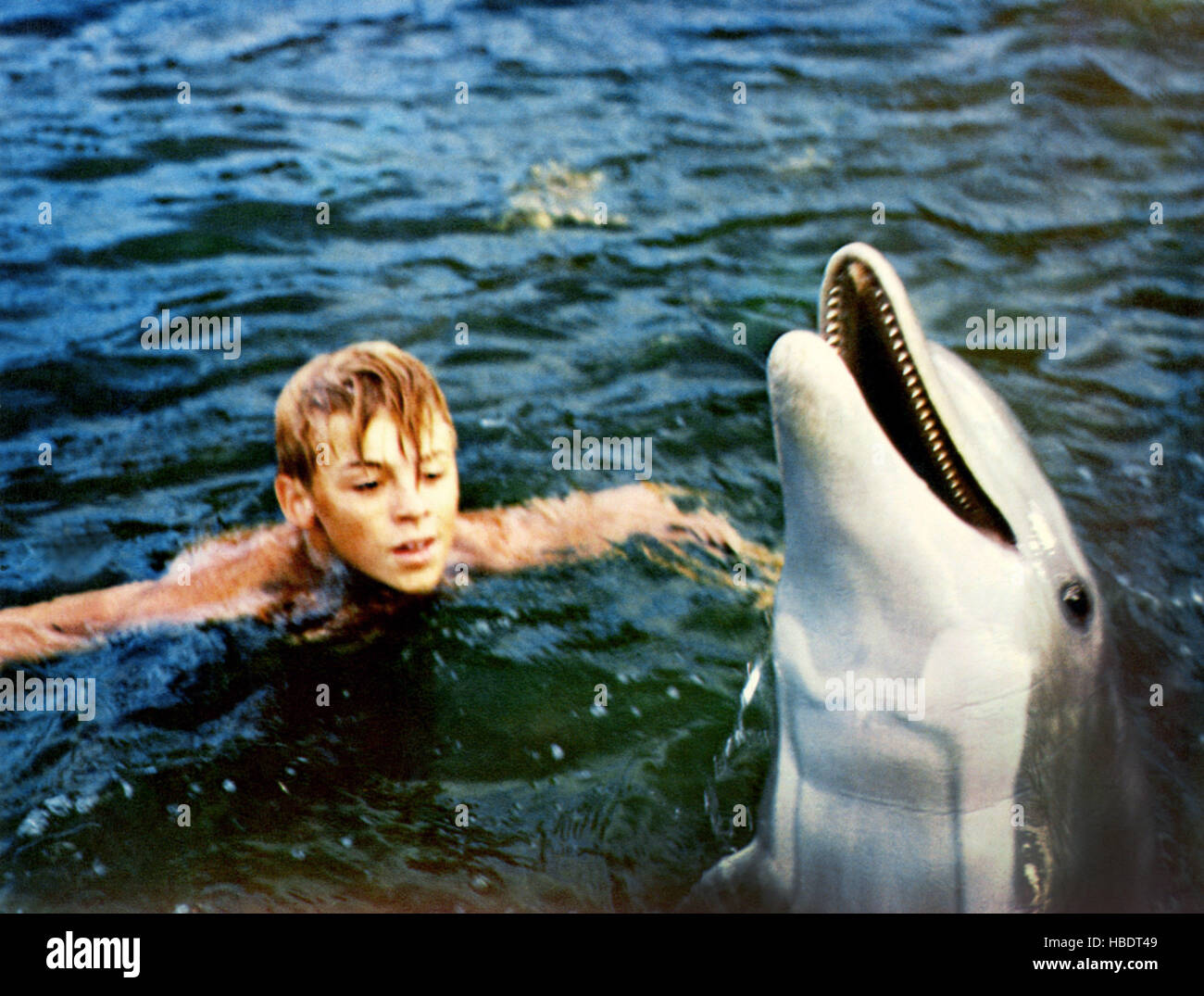 FLIPPER, (from left): Luke Halpin, Flipper, 1963 Stock Photo - Alamy