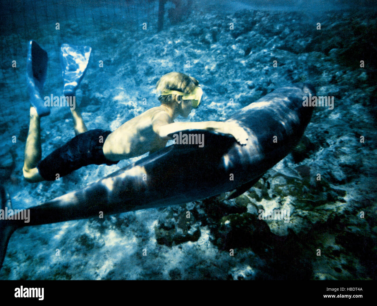 FLIPPER, (from left): Luke Halpin, Flipper, 1963 Stock Photo - Alamy