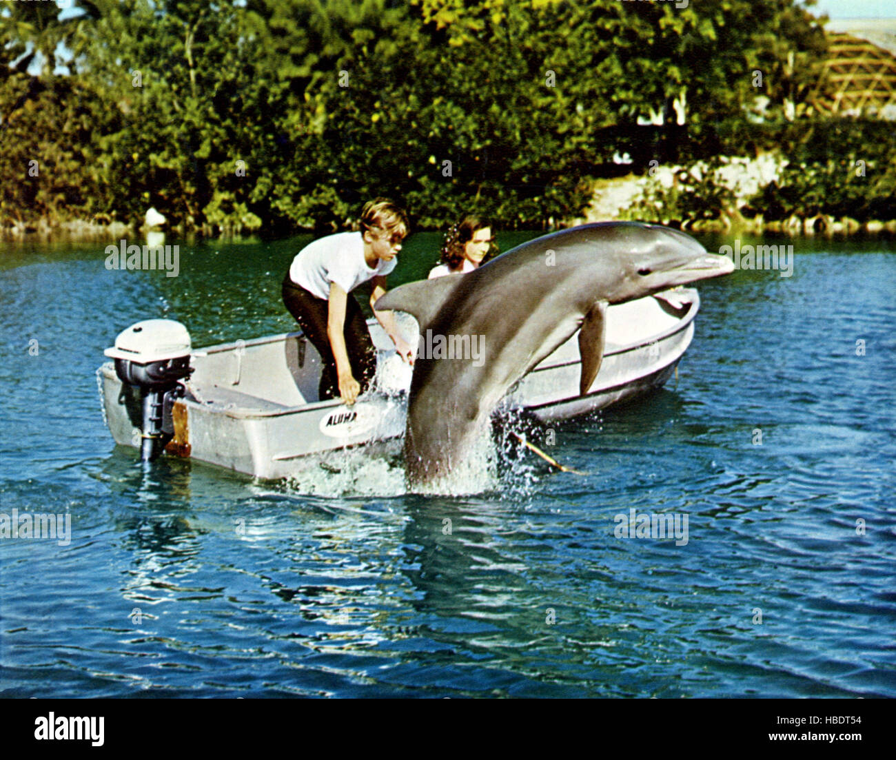 FLIPPER'S NEW ADVENTURE (aka FLIPPER AND THE PIRATES), from left ...