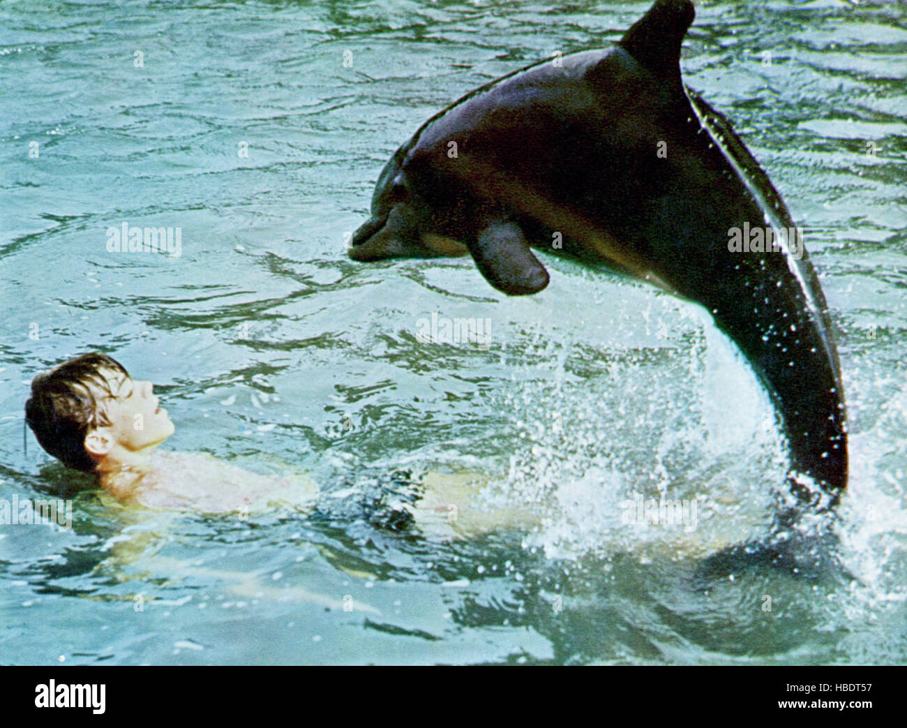 FLIPPER'S NEW ADVENTURE (aka FLIPPER AND THE PIRATES), from left: Luke ...