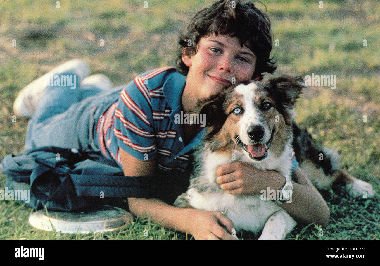 FLIGHT OF THE NAVIGATOR, Joey Cramer, 1986, © Buena Vista/courtesy ...