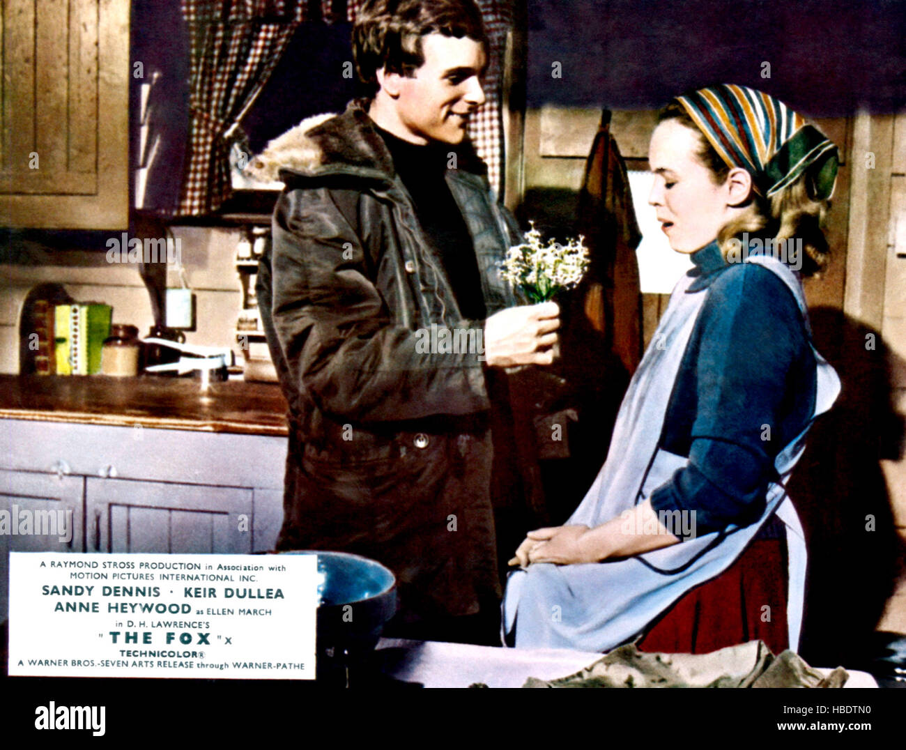 THE FOX, from left: Keir Dullea, Sandy Dennis, 1967 Stock Photo - Alamy