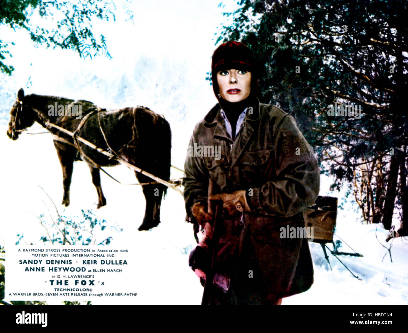 THE FOX, Anne Heywood, 1967 Stock Photo - Alamy