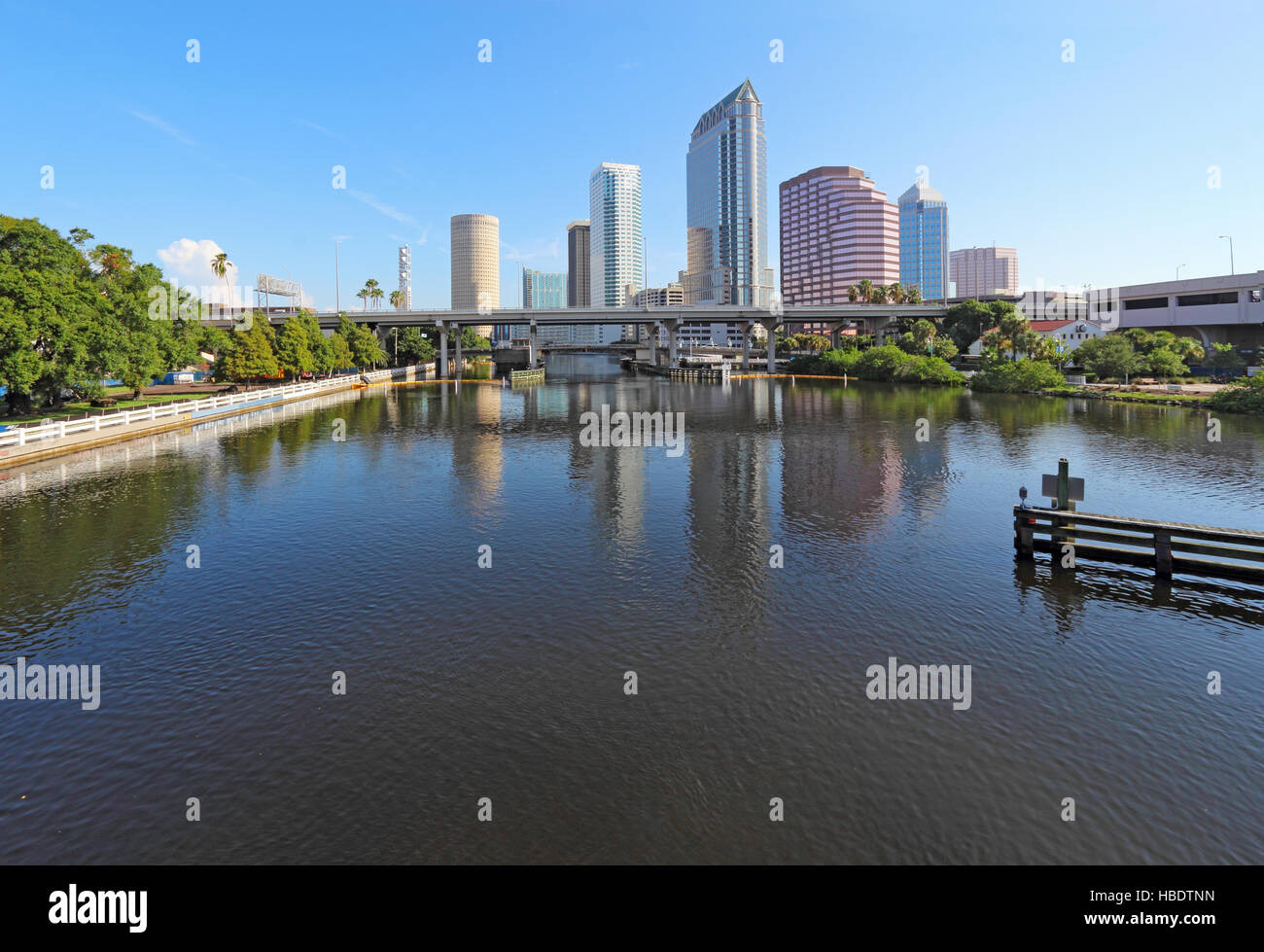 Partial Tampa, Florida skyline with USF Park and commercial buildings ...