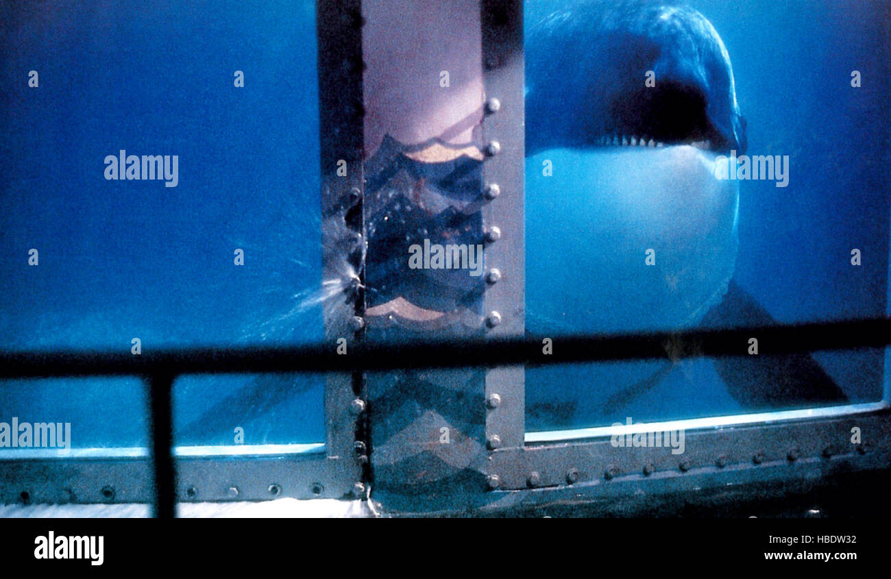 FREE WILLY, 1993, © Warner Brothers/courtesy Everett Collection Stock ...