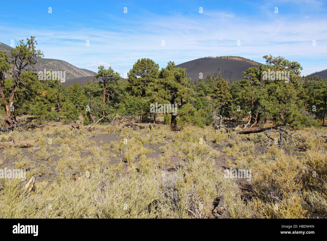 Slope of the cinder cone at Sunset Crater Volcano National Monument ...