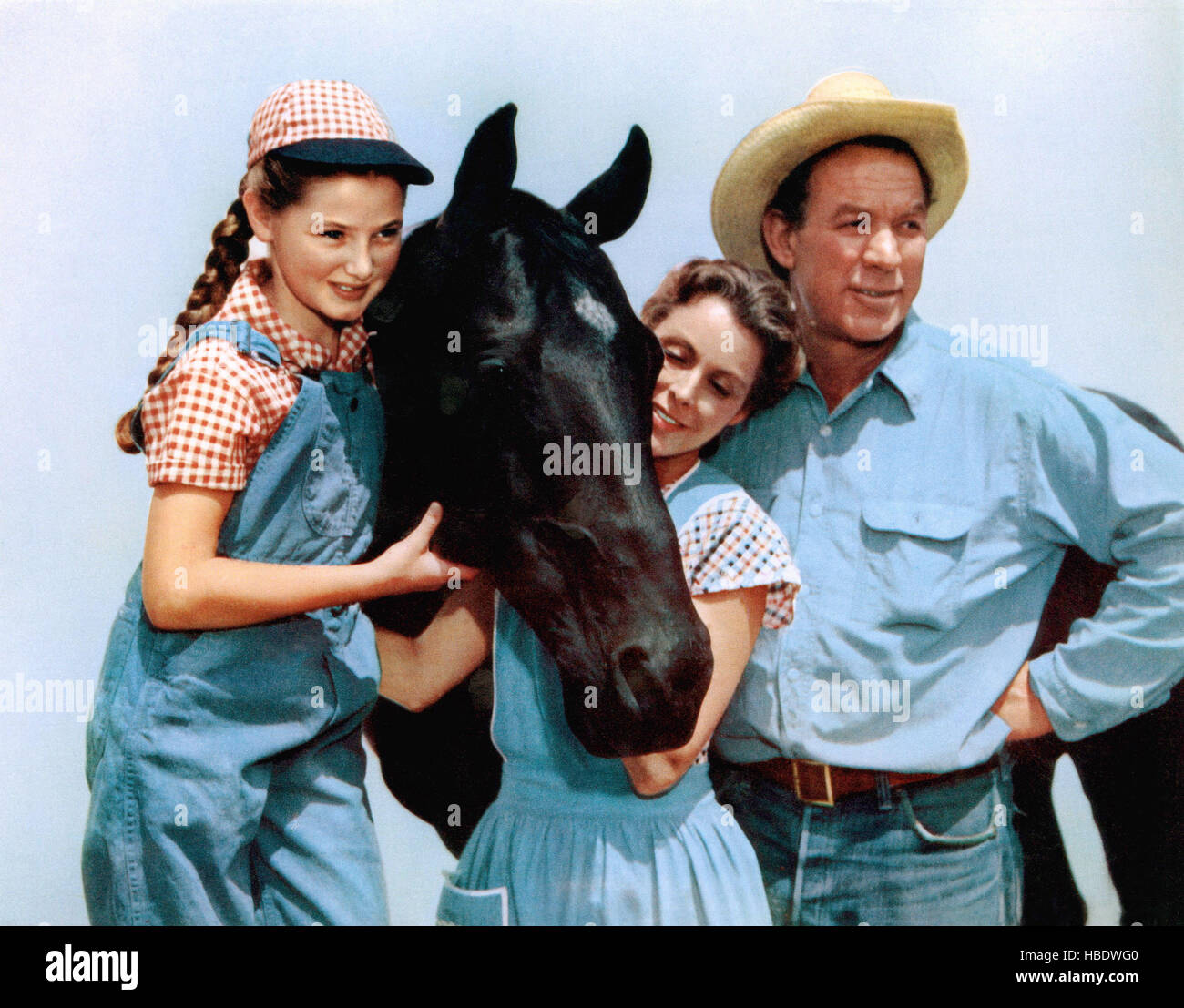 GYPSY COLT, Donna Corcoran, Frances Dee, Ward Bond, 1953 Stock Photo ...