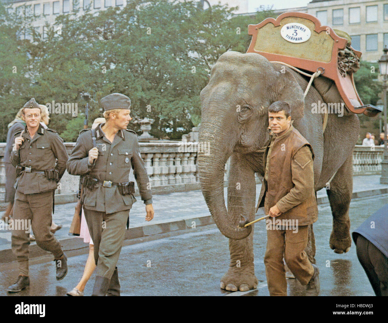 HANNIBAL BROOKS, Helmut Lohner, Peter Carsten, Oliver Reed, 1969 Stock ...
