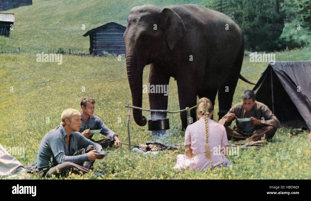 HANNIBAL BROOKS, from left: Peter Carsten, Helmut Lohner, Maria ...