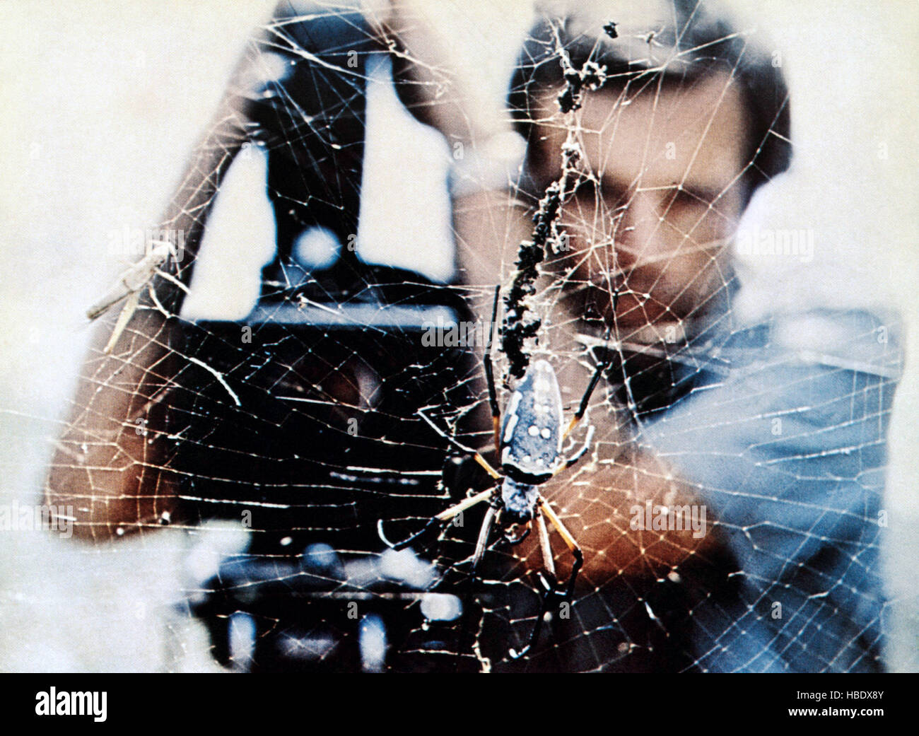 THE HELLSTROM CHRONICLE, 1971 Stock Photo - Alamy