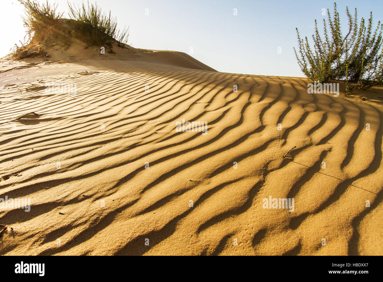 Beautiful photo of sand in the desert against the sky Stock Photo - Alamy