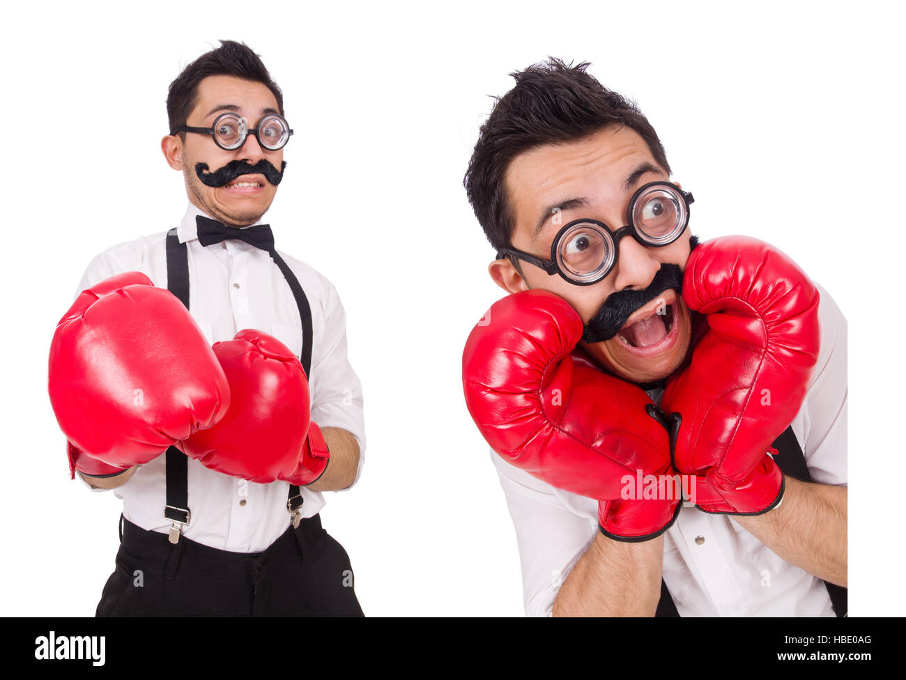 Funny boxer isolated on the white background Stock Photo - Alamy