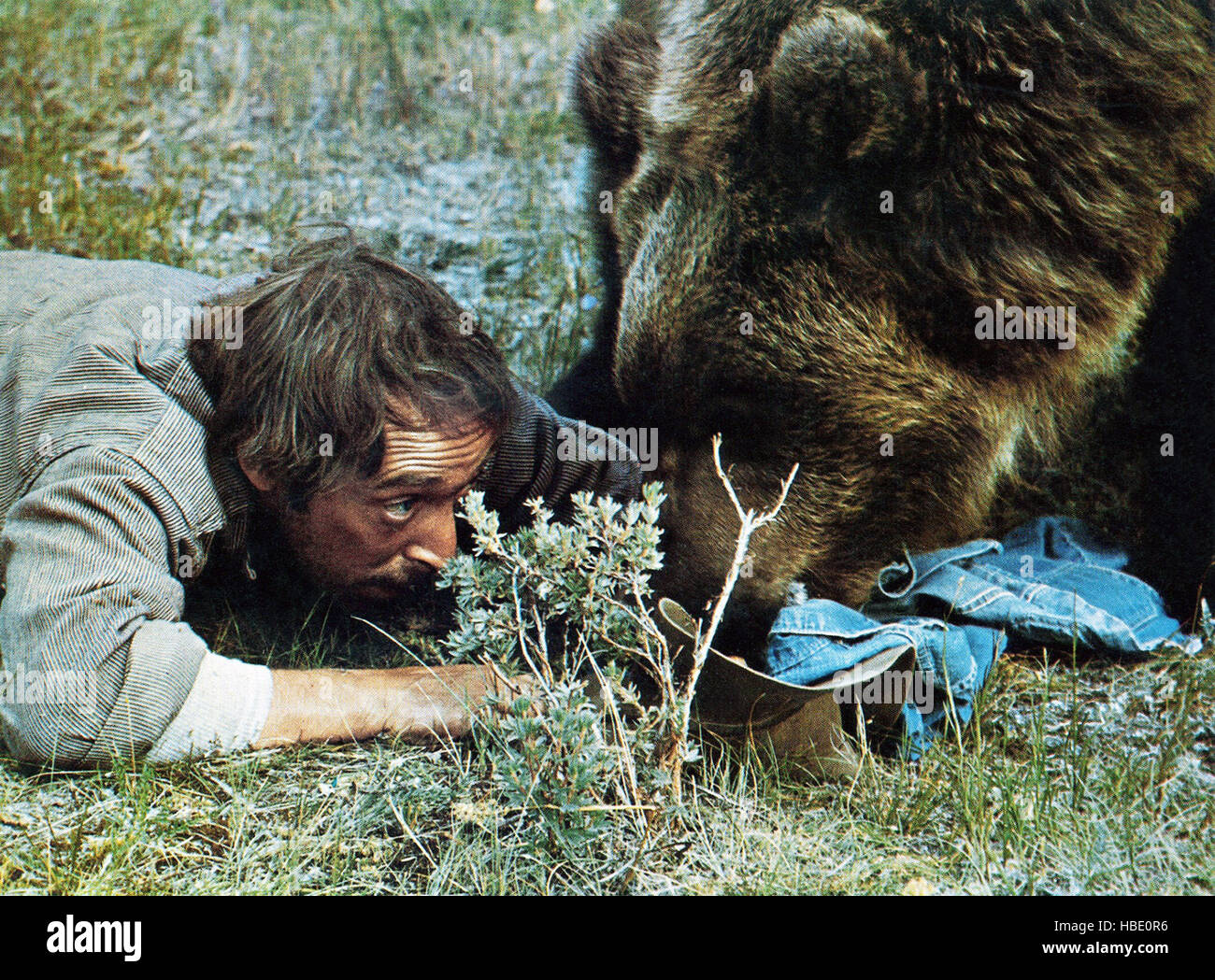 KING OF THE GRIZZLIES, Hugh Webster, 1970 Stock Photo - Alamy