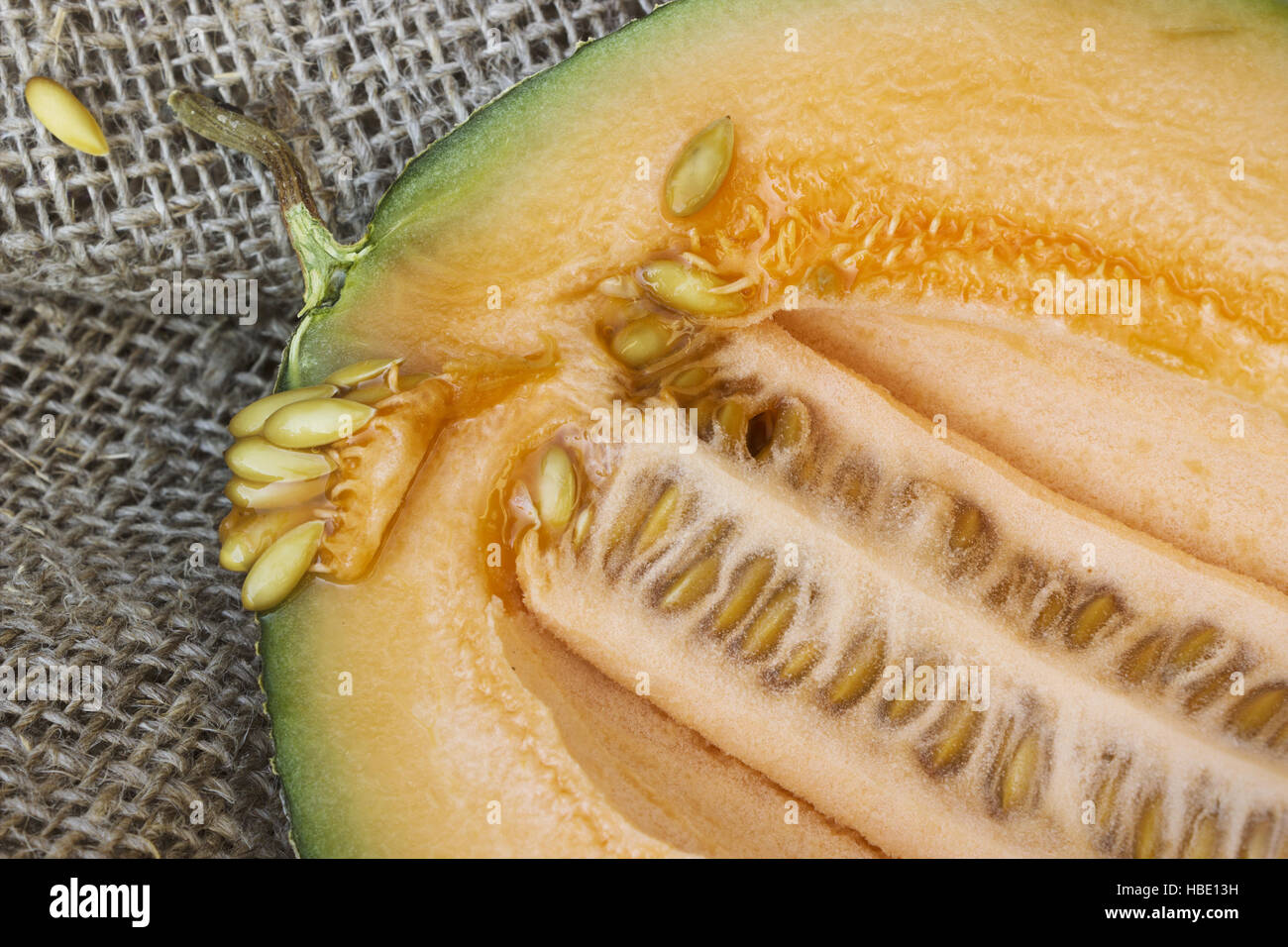 Small fruit body hi-res stock photography and images - Alamy