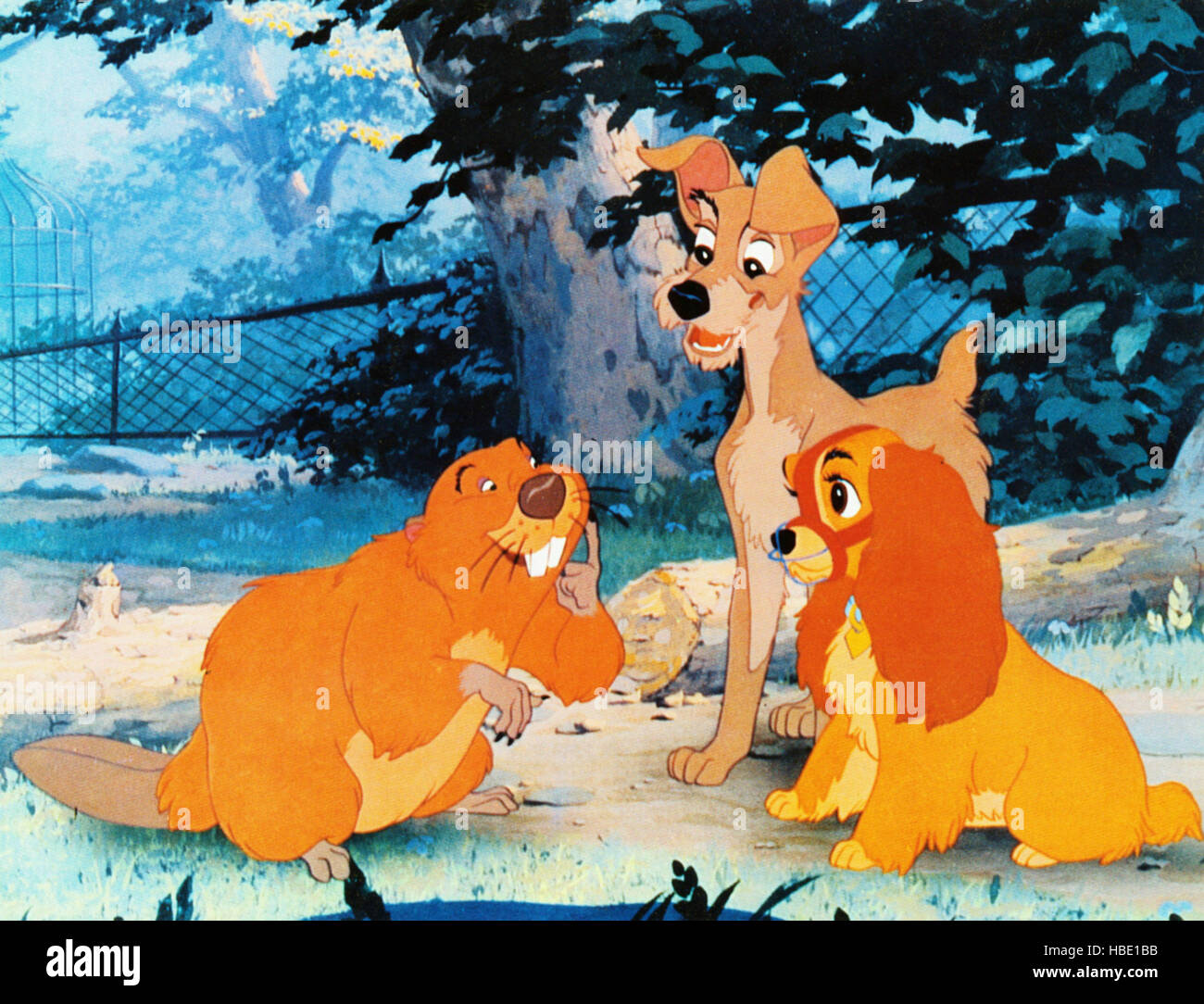 LADY AND THE TRAMP, Beaver, Tramp, Lady, 1955, ©Walt Disney Pictures ...