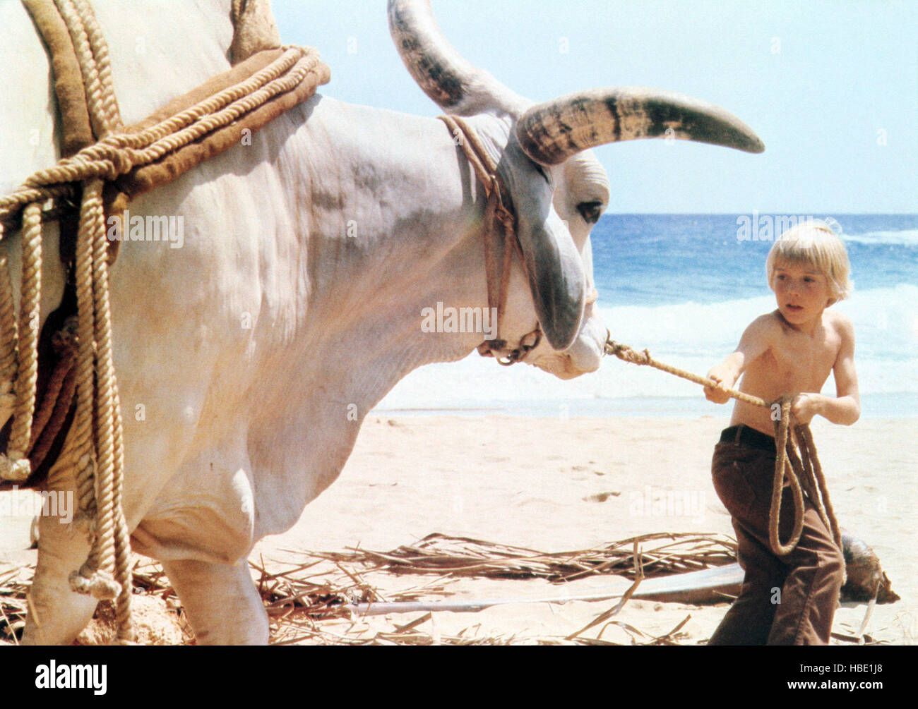 THE LAST FLIGHT OF NOAH'S ARK, Rick Schroder, 1980. ©Walt Disney ...