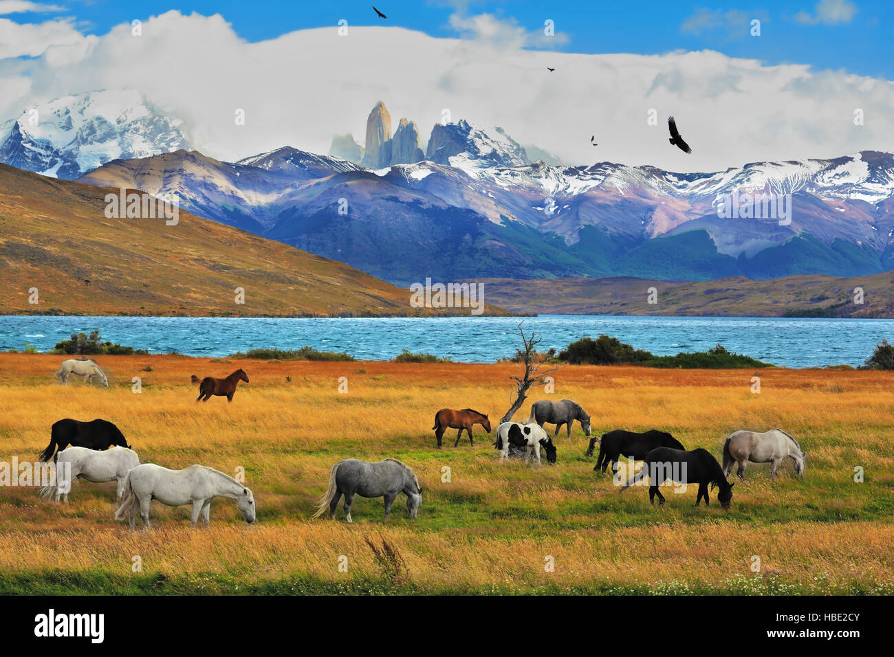 Magical landscape hi-res stock photography and images - Alamy