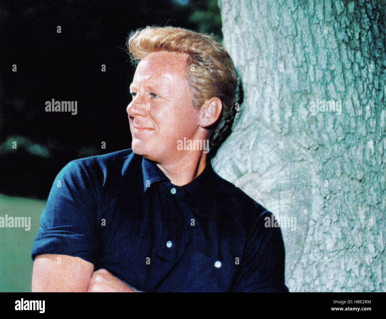 MEN OF THE FIGHTING LADY, Van Johnson, 1954 Stock Photo - Alamy