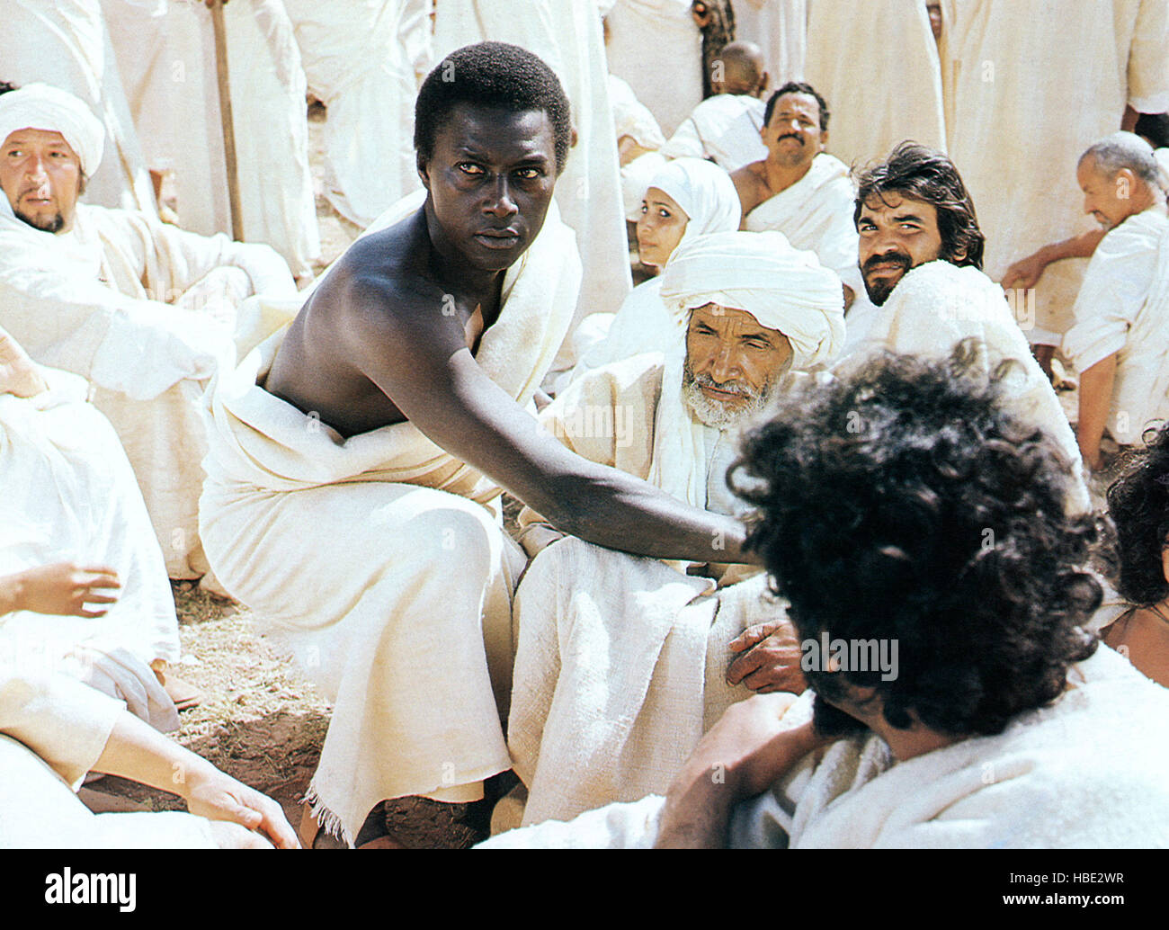 Michael Forest The Message