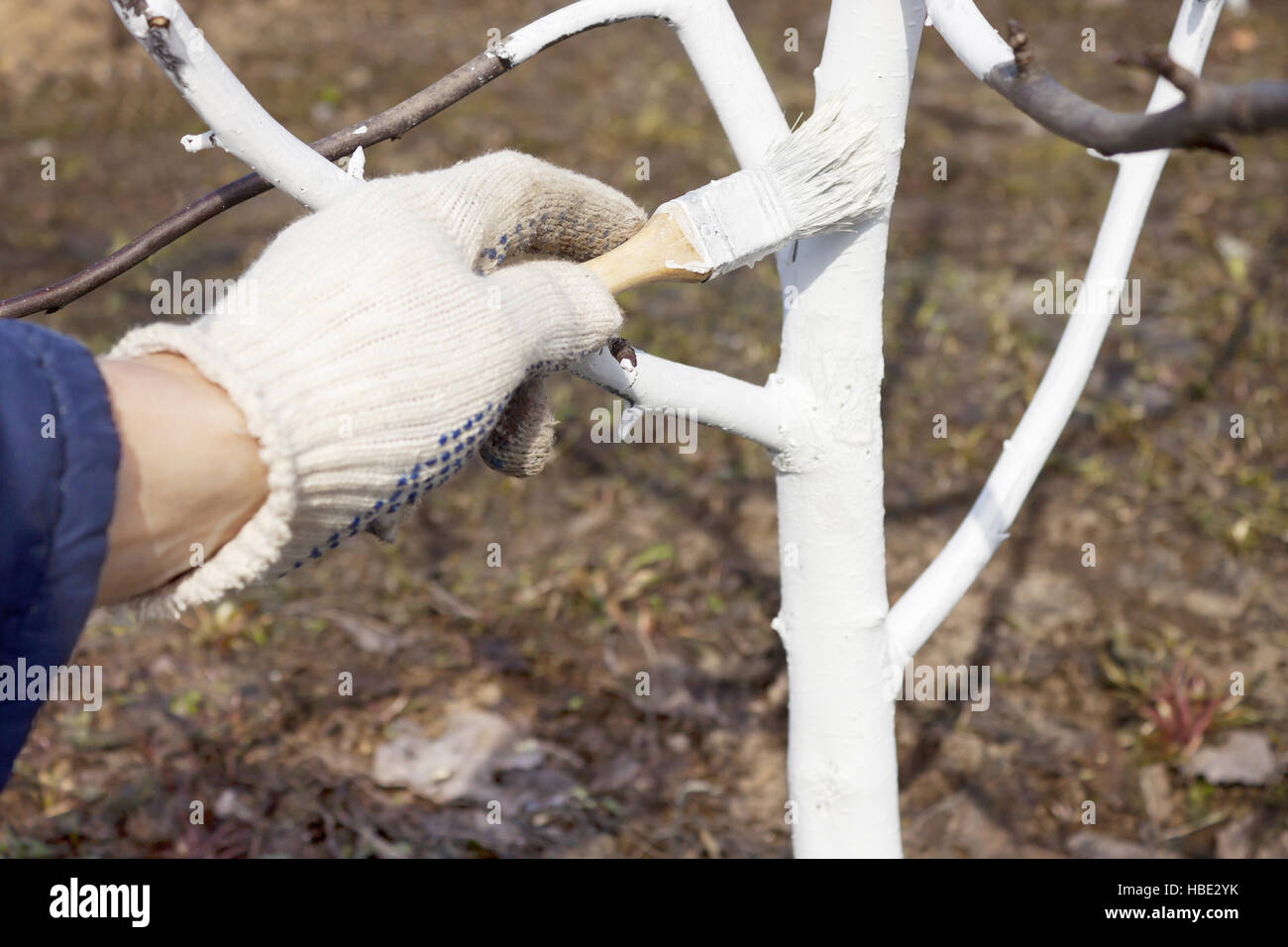 Work in the garden in spring Stock Photo - Alamy