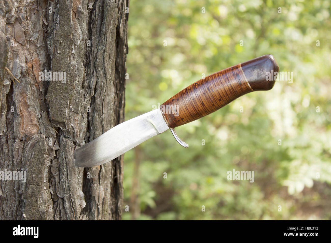 Old hunting knife Stock Photo - Alamy
