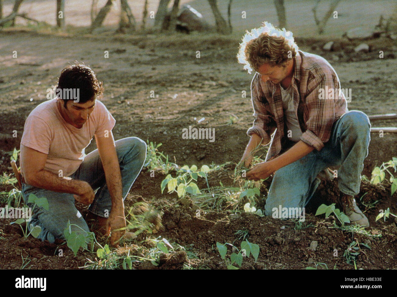 THE MILAGRO BEANFIELD WAR, from left: Chick Vennera, Daniel Stern, 1988 ...