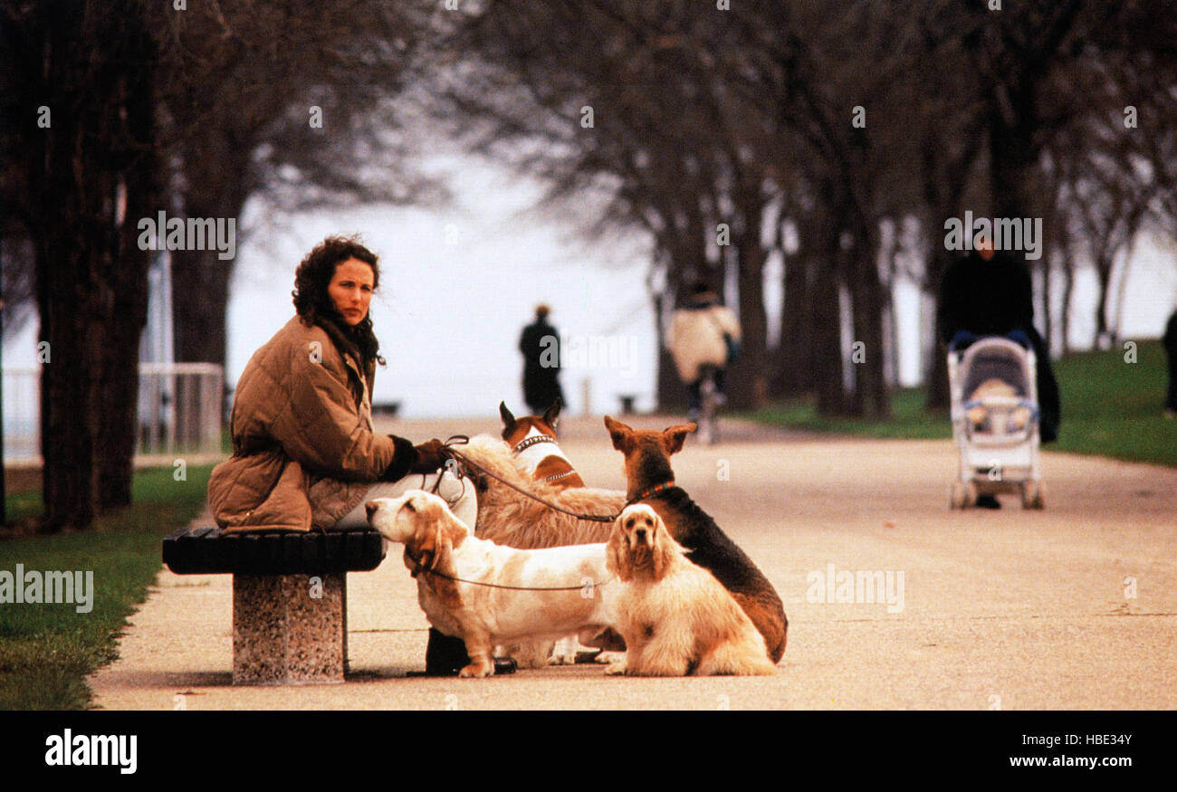 MICHAEL, Andie MacDowell, 1996, © New Line/courtesy Everett Collection ...
