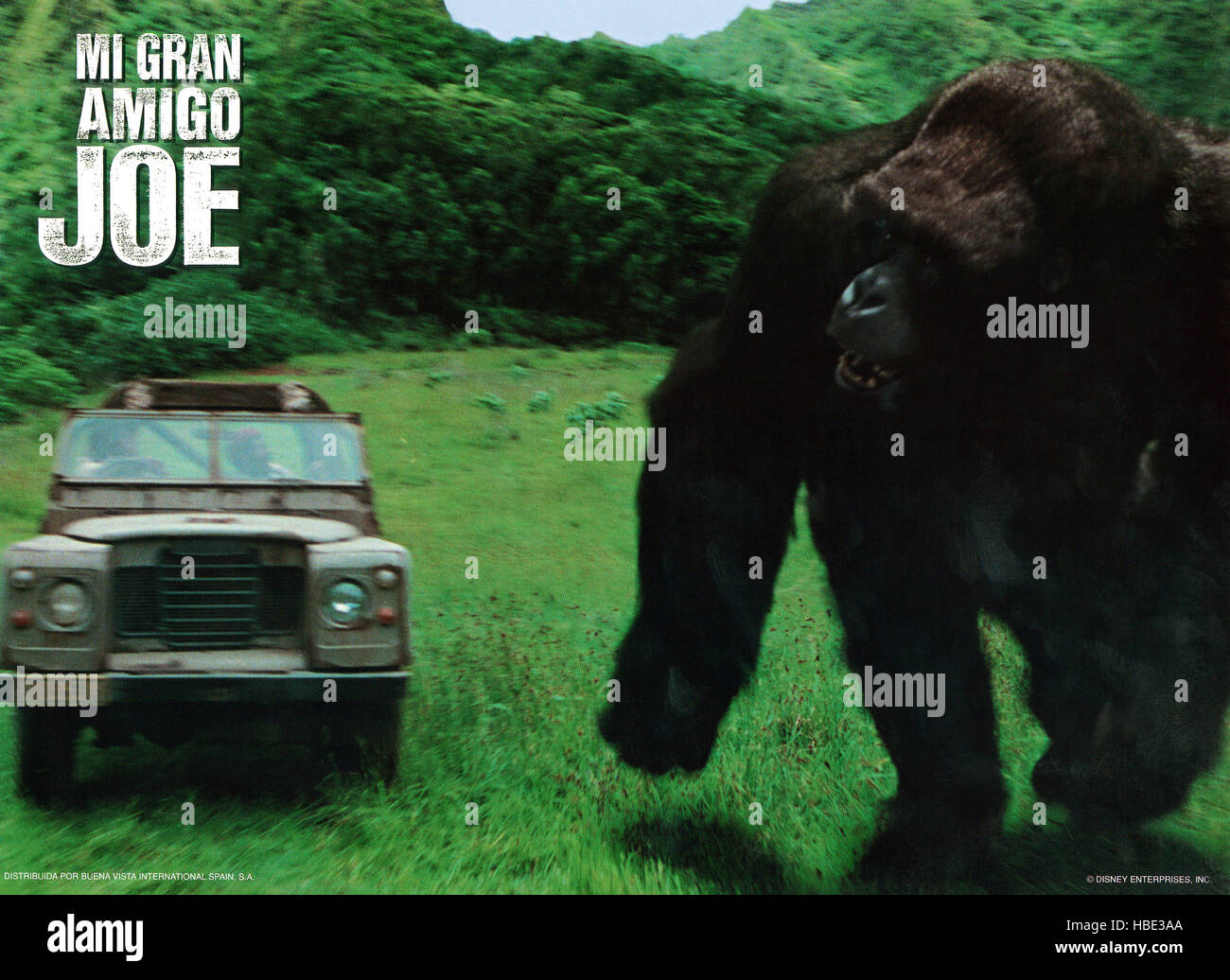 MIGHTY JOE YOUNG, (aka MI GRAN AMIGO JOE), 1998, © Buena Vista/courtesy ...