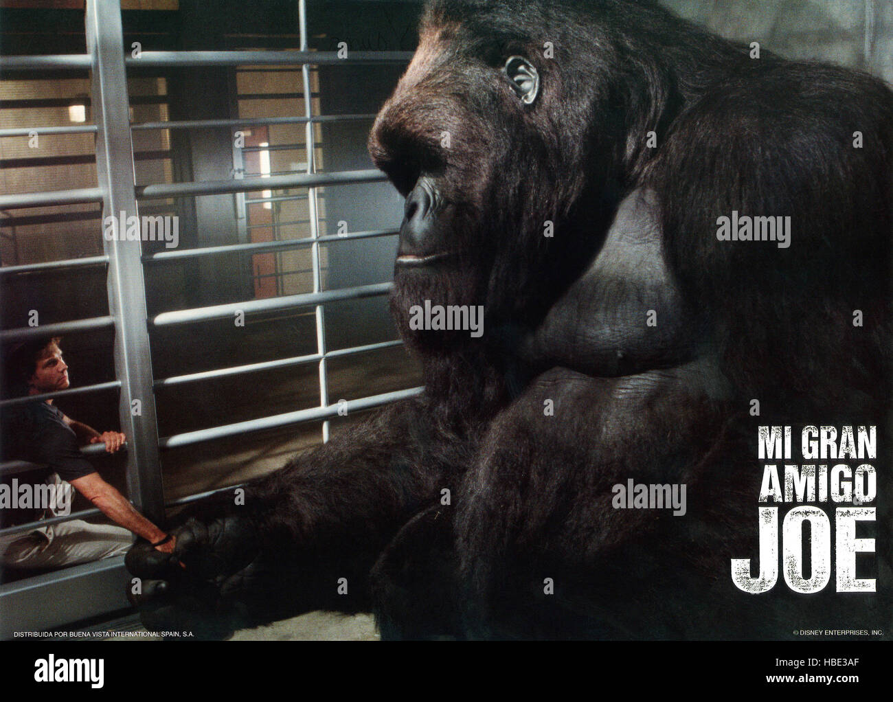 MIGHTY JOE YOUNG, (aka MI GRAN AMIGO JOE), Bill Paxton, 1998, © Buena ...