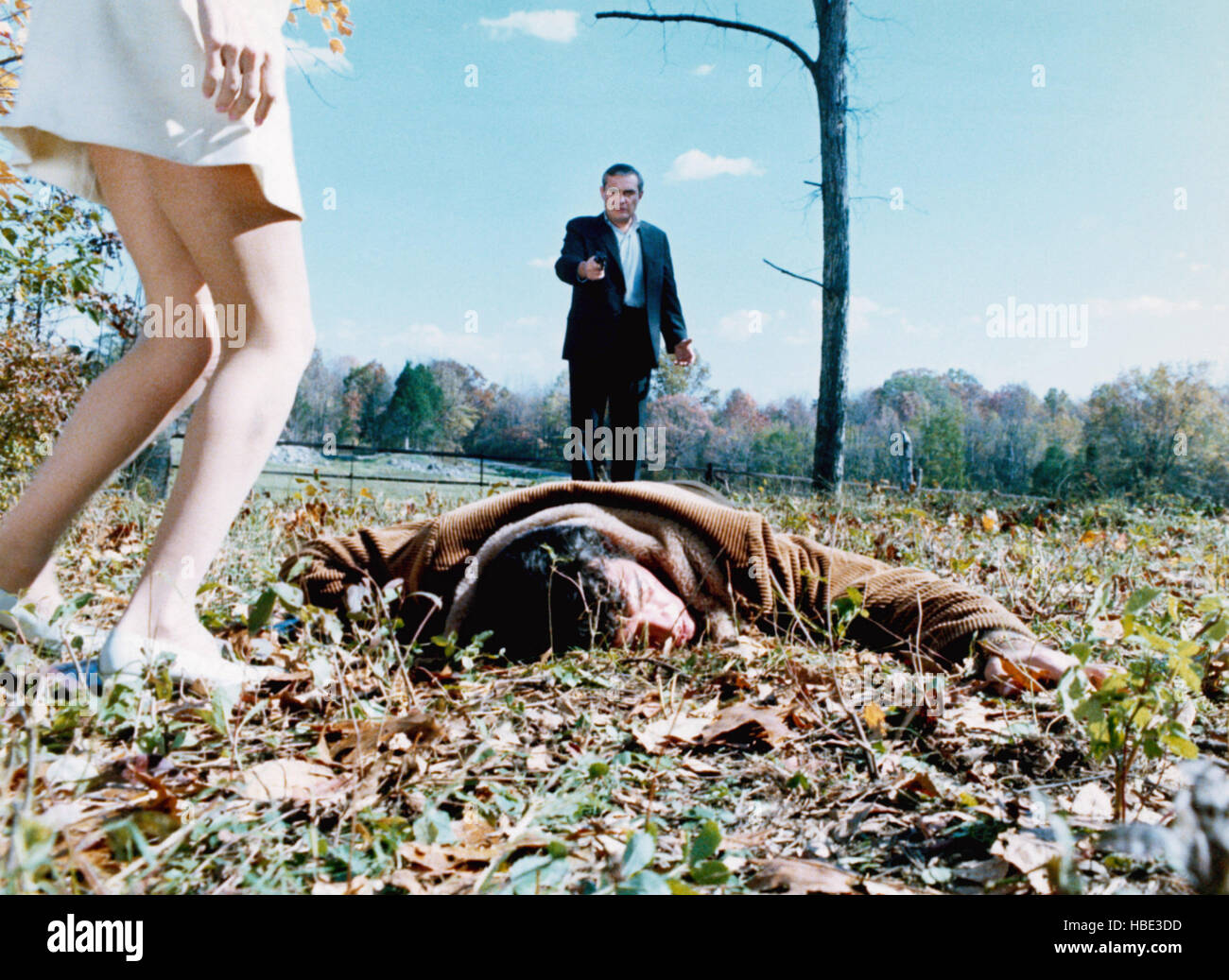 THE MINX, William Gleason (back), Robert Rodan (bottom right), 1969 ...