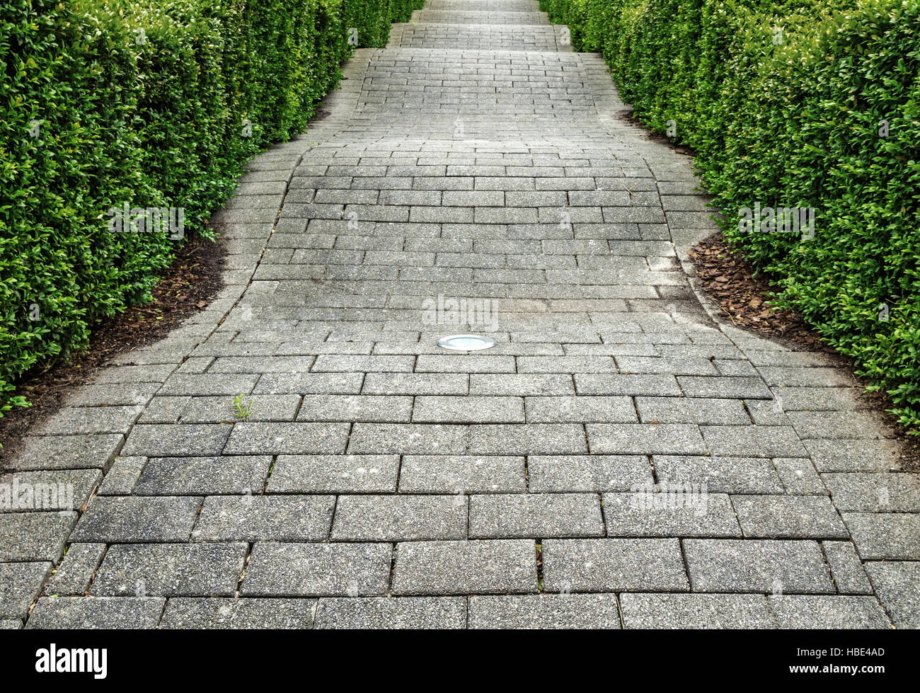 Gehwegplaten hi-res stock photography and images - Alamy
