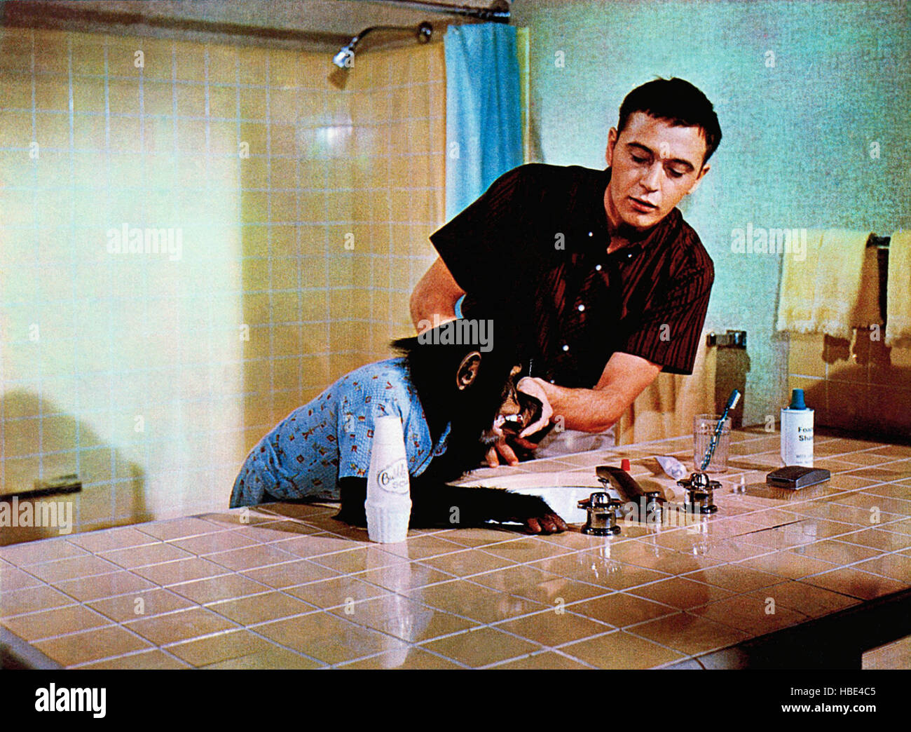 THE MONKEY'S UNCLE, Tommy Kirk, 1965 Stock Photo - Alamy