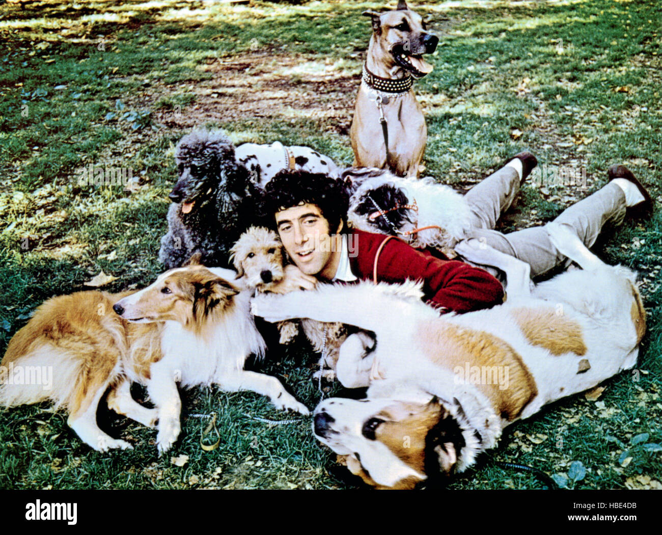 MOVE, Elliott Gould, 1970, (c) 20th Century Fox, TM and copyright ...