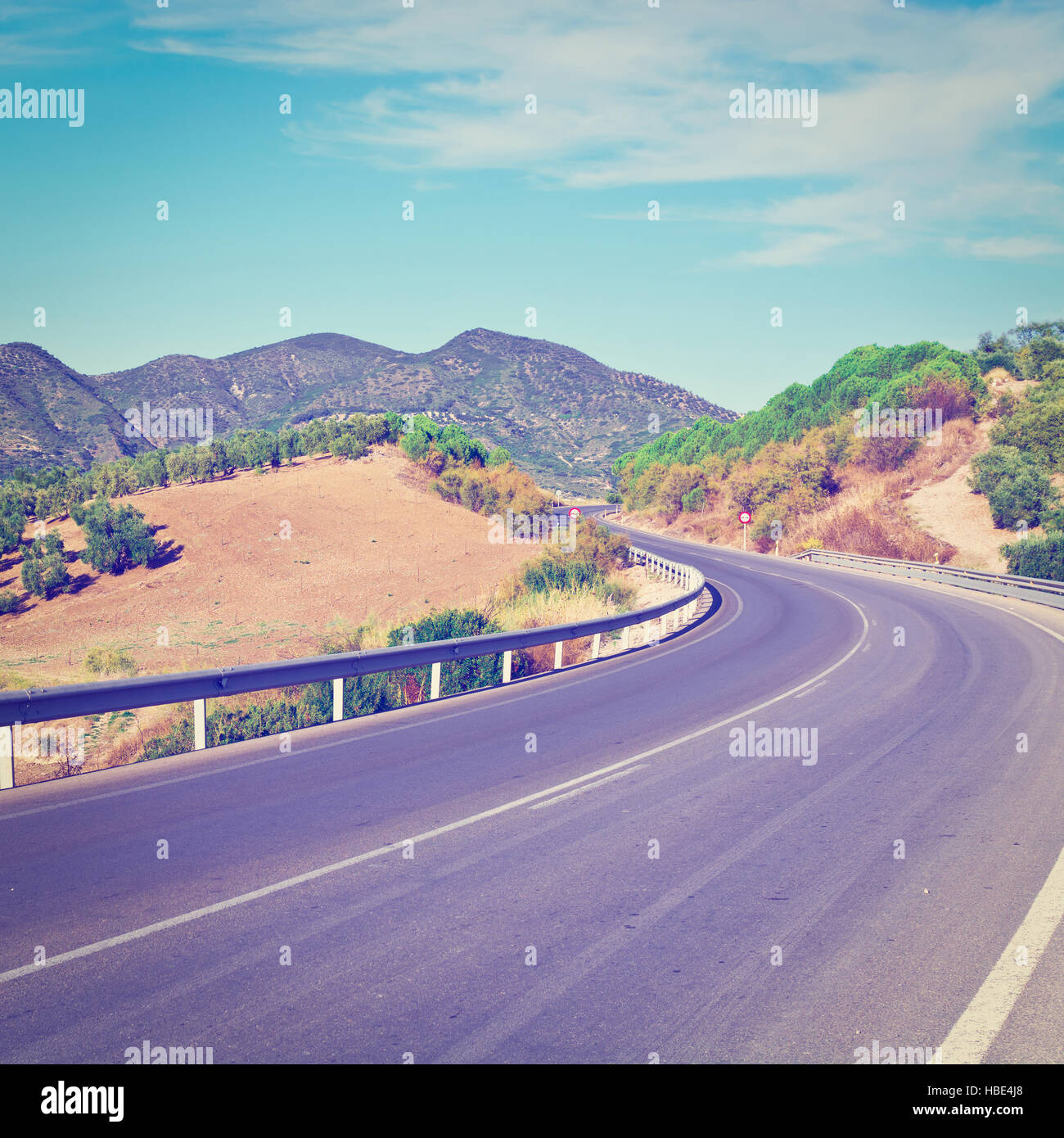 Road between Groves Stock Photo - Alamy
