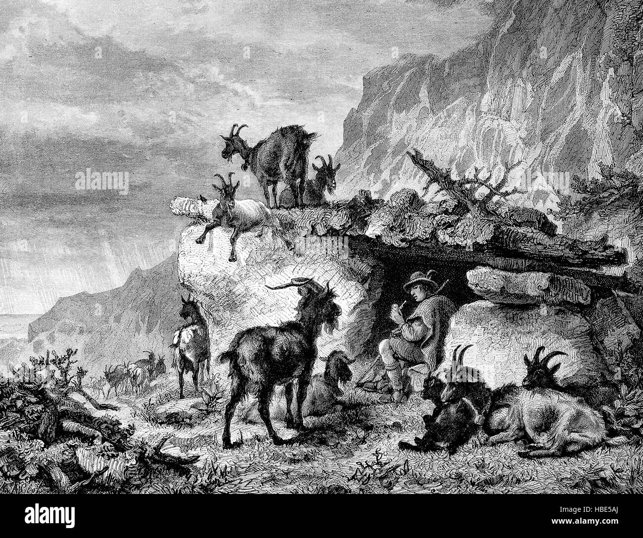 Illustration goat hi-res stock photography and images - Alamy