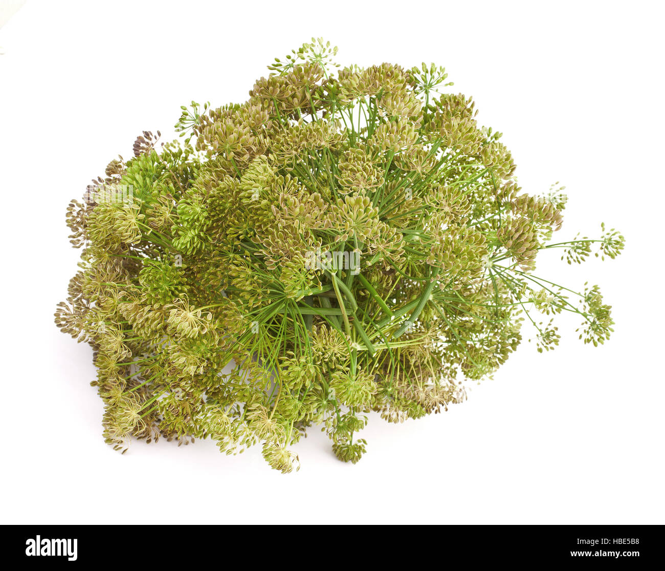 Big bunch of dill seeds Stock Photo - Alamy