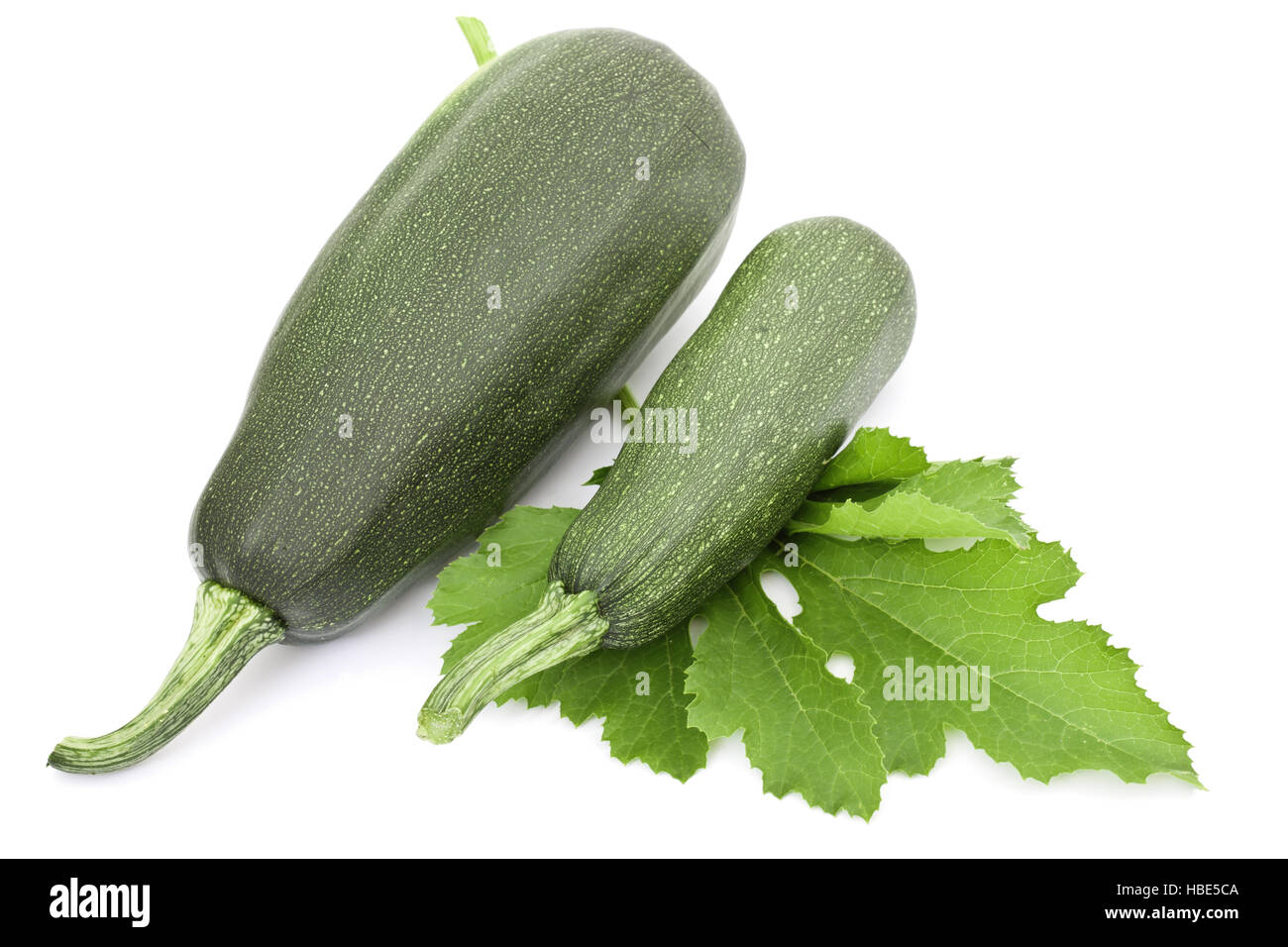 Courgette growing Cut Out Stock Images & Pictures - Alamy