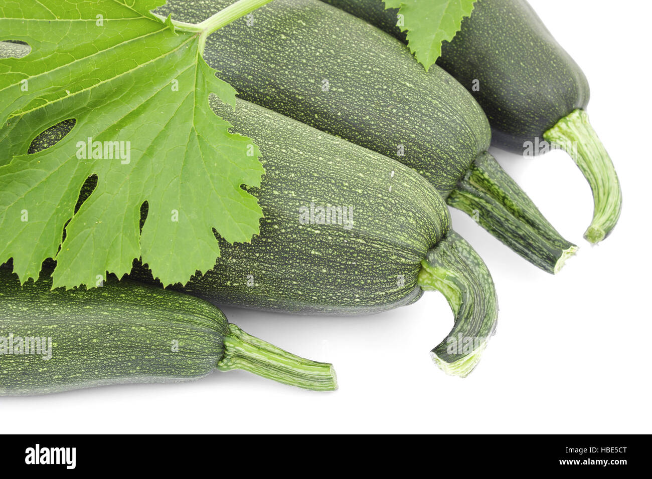 Four large courgettes Stock Photo - Alamy