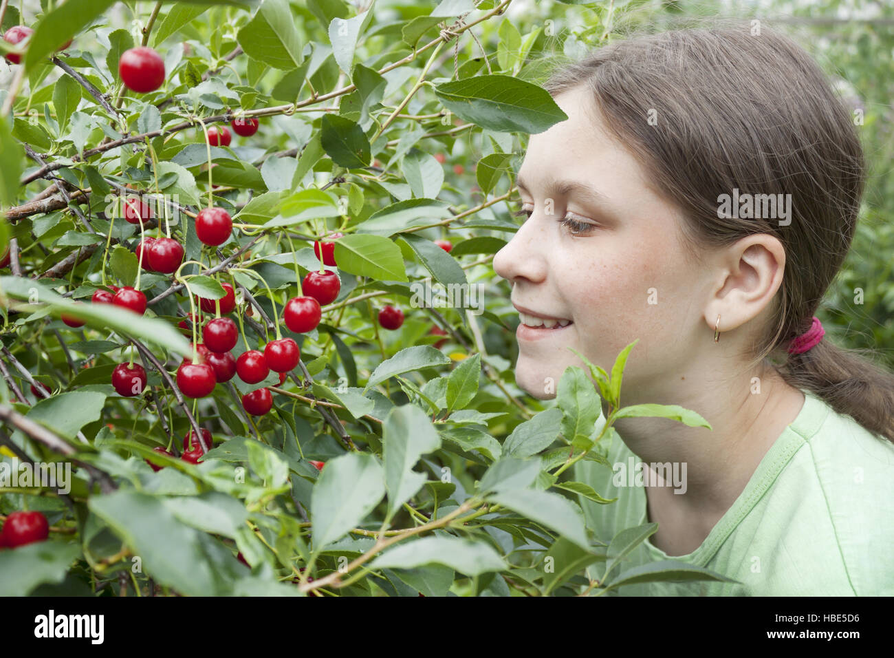 Girl under the cherry tree Stock Photo - Alamy