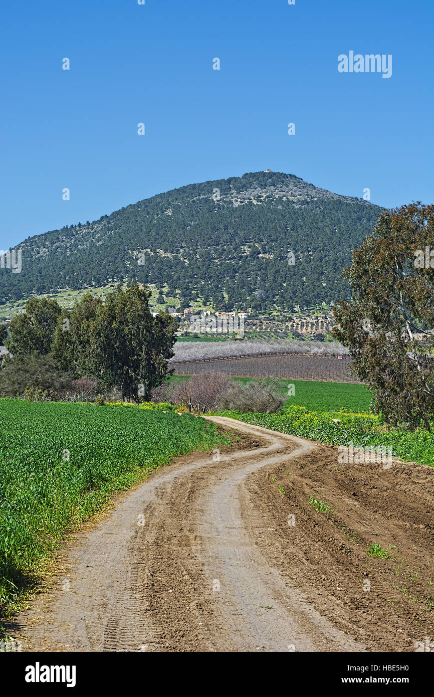 Mount Tabor in Israel Stock Photo - Alamy