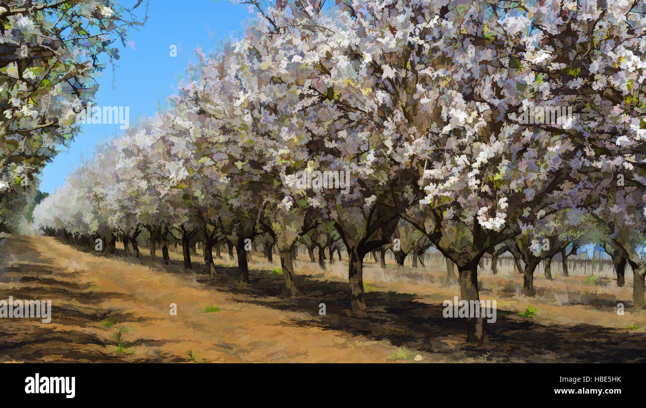 Flowering Almond Garden Stock Photo - Alamy